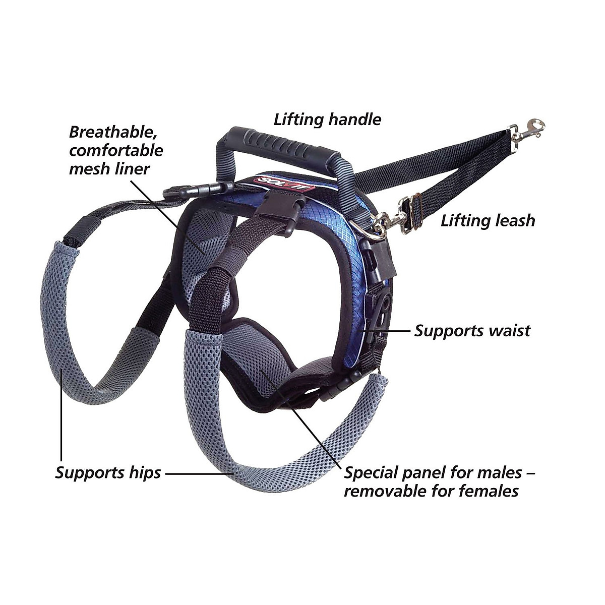 PetSafe CareLift Rear Support Harness – Lifting Aid with Handle and Shoulder Strap – Great for Pet Mobility and Older Dogs – Comfortable, Breathable Material – Easy to Adjust, Black, Large