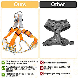HOWWFALY Soft Mesh Dog Harness and Leash Set,Reflective Breathable Lightweight Easy Walk Escape Proof Vest Harnesses with Safety Buckle for Small Medium Dogs Cats (Orange, M)