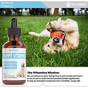 Puppy Vitamins | Puppy Supplements | Puppy Vitamins for Small Dogs | Puppy Vitamins Large Breed | Puppy Multivitamin | Puppy Vitamins and Supplements | Liquid Puppy Vitamins | 1 fl oz: Bacon Flavor