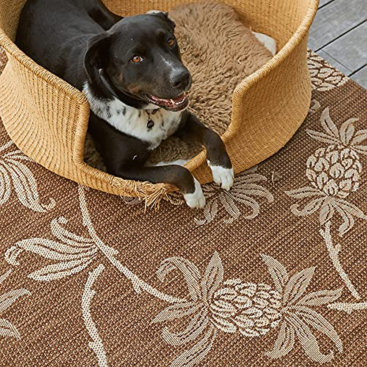 Gertmenian Indoor/Outdoor Kona Coast by Reyn Spooner Runner Rug - 2x6 Runner, Stain & UV Resistant, Ideal for Deck, Patio, Poolside Rooms - Pineapple, Brown, 46657
