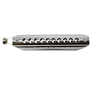 10 Holes 40 Tones Professional Chromatic Harmonica Key of C, Music instruments for adults, Harmonicas for adults,Professional Player, Students and beginner(Silver)