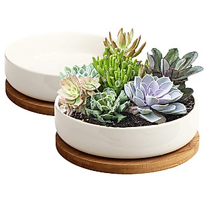 ZOUTOG Succulent Pots, 6 inch White Ceramic Flower Planter Pot with Bamboo Tray, Pack of 2 - Plants Not Included