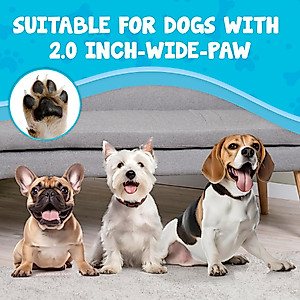 Happy Paws Dog Paw Cleaner | Portable Washer Cup for Small Cute Dogs with Towel and Hanger | Silicone Pet Foot Cleaning Brush Scrubber | Grooming Essentials to Wash Muddy Puppy Feet | Blue