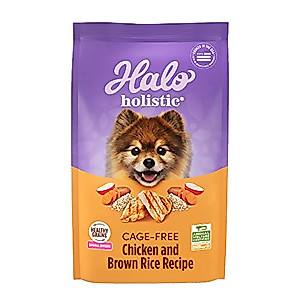 Halo Holistic Dog Food, Complete Digestive Health Cage-Free Chicken and Brown Rice Recipe, Dry Dog Food Bag, Small Breed Formula, 3.5-lb Bag