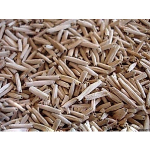 20 Mixed Color Desert Rose Seeds to Grow | 20 Seeds | Adenium Obesum Seeds to Grow.. Exotic Bonsai Plant