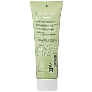SESHA Skin Therapy Gentle Cleansing Gel, 4 Fl Oz
