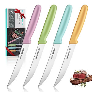 HAUSHOF Steak Knives Set of 4, Serrated Steak Knives, Premium Stainless Steel Steak Knife Set with Gift Box, Gifts Knife Set for Mom, Dad, Wife and Husband，Assorted Color