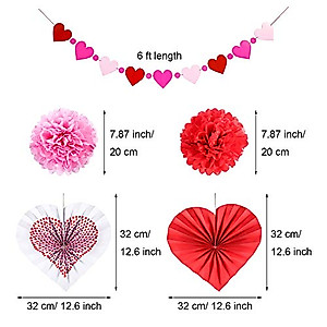 Blulu Valentine's Day Paper Kit Party Decorations, Multicolor Tissue Paper Flowers Bunting Hanging Fan for Party Decorations (12 Pieces Style 1)