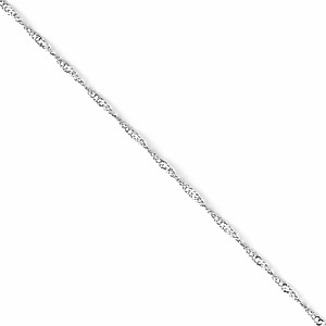 AmyRT Jewelry 2mm Titanium Steel Silver Singapore Chain Necklaces for Women 20 in