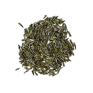 Seed Needs, Gayfeather Seeds - 500 Heirloom Seeds for Planting Liatris spicata - Perennial, Open Pollinated Wildflowers That Attracts Pollinators to The Garden (1 Pack)