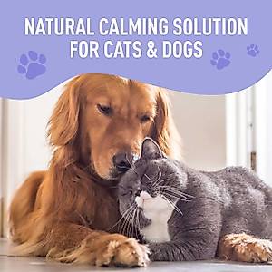 Nature's Synergy Melatonin and Hemp Oil for Dogs, Cats & Pets, 2 Pack, Calming Sleep Support, Omega Fatty Acids for Hip and Joint Support, Skin and Coat Health, Stress from Travel, Separation