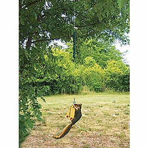 Songbird Essentials Squngee Squirrel Feeder, Amusing Bungee and Bell Squirrel Feeder, Holds 2 Ears of Corn