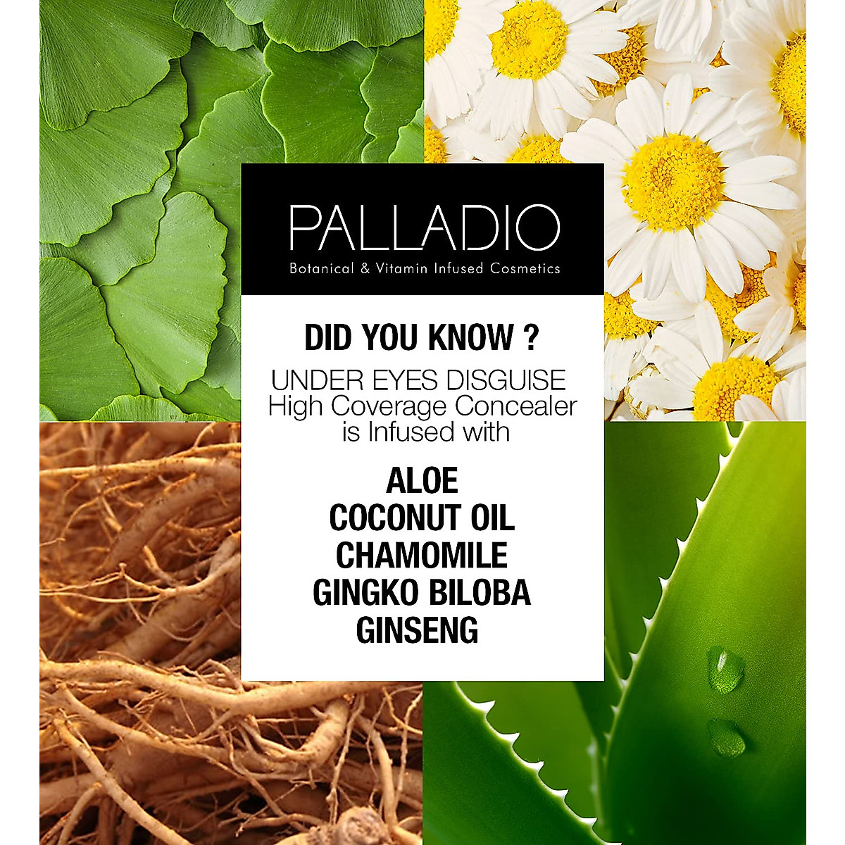 Palladio Full Coverage Concealer, Under Eyes Disguise, Creamy Face and Eye Concealer, Evens Skin Tone, Conceals Blemishes, Dark Circles and Fine Lines, Use with Concealer Brush, Toffee