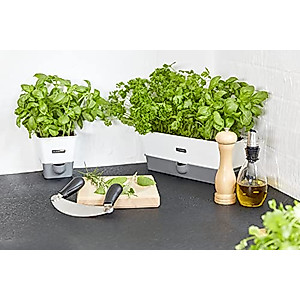 Cole & Mason HA0825P Beech Capstan A8 Salt Mill, Precision+ Wooden, Beech Wood, 200 mm, Single, Includes 1 x Salt Grinder