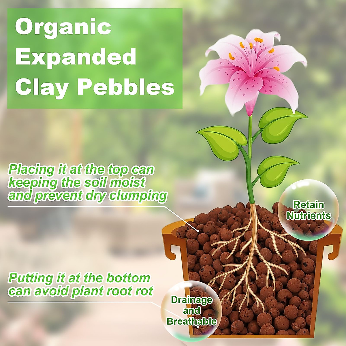 Riare 2 LBS Organic Expanded Clay Pebbles for Plants- 4mm-16mm Natural Leca Balls Lightweight Hydroponic Clay Pebbles Aggregate for Indoor Plants, Hydroponic Growing, Plants Drainage, Aquaponics