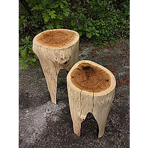 Tree Stump Table - Set Of Two, Log Stools, Reclaim Wood Coffee Tables, Rustic Furniture, Rough End Tables, Country House Decor