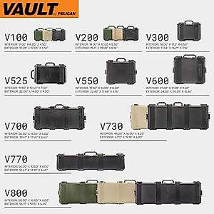 Pelican Vault - v525 Case with Padded Dividers for Camera, Drone, Equipment, Electronics, and Gear (Black)