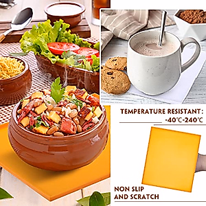 8 Pcs Silicone Dehydrator Sheets with Edge and 10 Pcs Mesh Dehydrator Mats with Silicone Scraper Silicone Tray Fruit Leather Trays for Dehydrator Non Stick Dehydrator Accessories for Liquid Meat Fruit