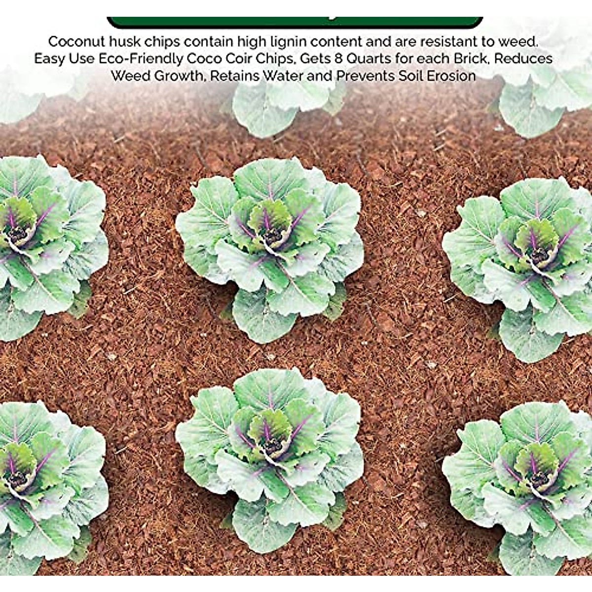 UBICON Easy to Use Compressed Coco Coir Organic Top Soil for Indoor and Outdoor; Each Brick Gets 7 Quarts, Excellent Aeration, Reduces Weed Growth, and Retains Water (1, Brick),Brown