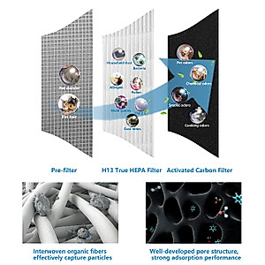 Rioche RP-AP068 H13 True HEPA 3-in-1 Replacement Filter, Compatible with RENPHO Compact Air Purifier RP-A068, 3-in-1 Pre-Filter, H13 True HEPA and Activated Carbon Filter, 2 Pack