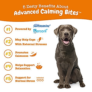Zesty Paws Calming Soft Chews for Dogs - Melatonin, Ashwagandha + Multifunctional Supplements for Dogs - Glucosamine Chondroitin for Joint Support