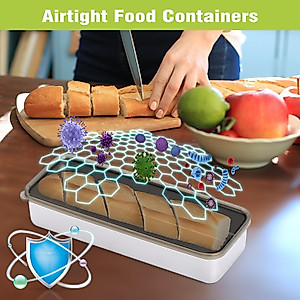 Ronanemon Deli Meat and Cheese Storage Container for Refrigerator, 304 Stainless Steel Airtight Bacon Storage Container,Kitchen Storage Containers Set for Home, Travel, Work, Party, Leftovers (4)