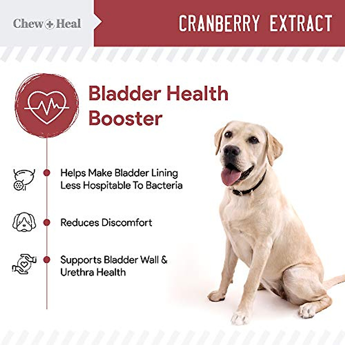 Chew + Heal UTI Treatment Cranberry Chews for Dogs - 120 Soft Chews - Supports Healthy Urinary Tract and Bladder Function - Corrects Imbalances - with Echinacea and Vitamin C