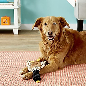 SPOT Skinneeez Stuffless Dog Toy with Squeaker | Plush Tug of War Goose Squeak Toy for Small and Large Dog Breeds | Small