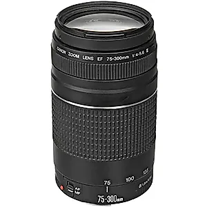 EOS Rebel SL3 DSLR Camera with EF-S 18-55mm f/4-5.6 is STM and EF 75-300mm f/4-5.6 III Lens + Accessory Bundle Kit (Flash, Travel Charger, Extra Battery, and More)