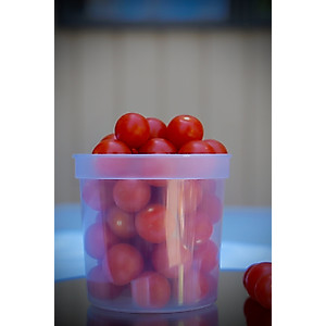 Nicole Home Collection Deli Food Storage Containers with Lids, 24-Ounce, 24-Pack, Leak Proof, Airtight, Microwave & Dishwasher Safe, Stackable, Reusable, And BPA Free