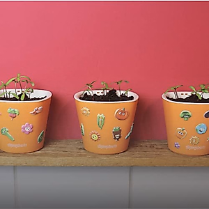 Window Garden Bean Sow Much Fun Seed Starting, Vegetable Planting and Growing Kit for Kids, 3 Self Watering Planters, Soil, Seeds and Puffy Stickers. No Mess, Easy, Works Great!