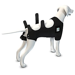 Calming Recovery Vest with Dog Calming Disc (Large)