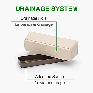 GROWNEER 3 Packs 12 Inches Window Boxes Rectangle Planter with 15 Pcs ...