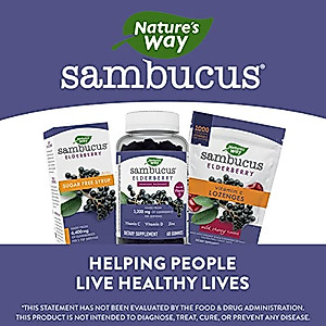 Nature’s Way Sambucus Elderberry Gummies, With Vitamin C, Vitamin D and Zinc, Immune Support for Kids and Adults*, 60 Gummies (Packaging May Vary)