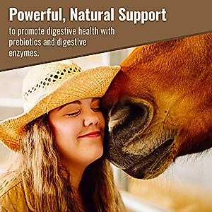 Mushroom Matrix Equine Turkey Tail Mushroom Supplement, Fortify, 30 Servings, Holistic Immune Support for Horses, 300 Grams, Organic, Product of USA