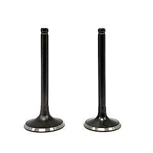 POWER PRODUCTS Inlet & Exhaust Valve for Predator Non-Hemi 6.5HP 212CC Gas Engine 60363 69730 69727