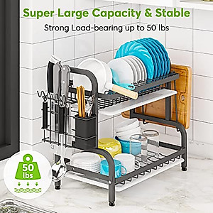 1Easylife Dish Drying Rack, 2-Tier Compact Kitchen Dish Rack Drainboard Set, Large Rust-Proof Dish Drainer with Utensil Holder, Cutting Board Holder for Kitchen Counter Tableware Organizer