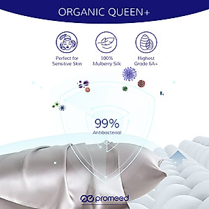 PROMEED Premium 6A Silk Pillowcase Toddler Size for Kids - 100% 22 Momme Mulberry Silk Travel Pillow Case Covers for Hair and Skin (Toddler/Travel 13"x18", White)