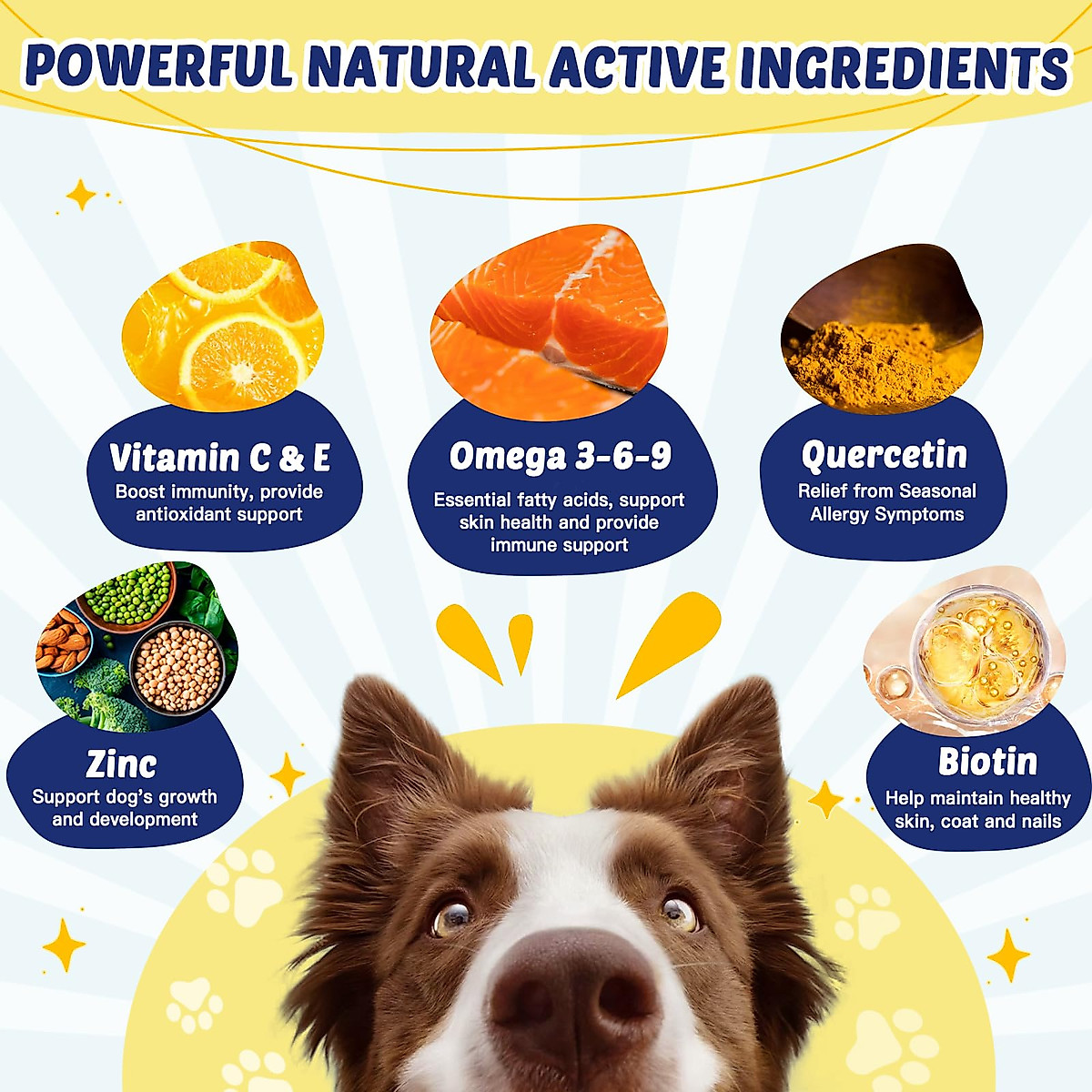 Omega 3 for Dogs with Salmon Oil, Fish Oil for Dogs Skin and Coat Supplement, Dog Allergy Relief, Hot Spot Treatment, Anti Shedding, Hip & Joint Support with EPA & DHA, Biotin, Vitamin E - 40 Servings