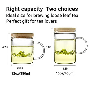 emoi Glass Tea Cup with Infuser and Lid, 15oz/450ml Tea Mug with Tea Steeper and Bamboo Lid, Easy to Use, Ideal for Tea Lover to Make a Great Cup of Tea at Home or Office