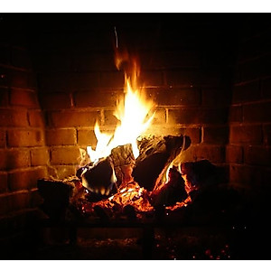 Ignite-O Instant Fire Starters - 50 Packets of Easy Lighting Fire Starter - Ideal for Campfires, Charcoal Grills, Fireplaces, and Woodstoves - Odorless, Fast Ignition