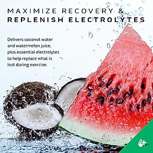 BCAA Amino Acids + Electrolyte Powder, MuscleTech Amino Build, 7g of BCAAs + Electrolytes, Support Muscle Recovery, Build Lean Muscle & Boost Endurance, Tropical Twist (40 Servings)