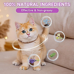 Woyamay 4 Pack Calming Collar for Cats, Luminous Cat Calming Collar for Cat Anxiety Relief, Long-Lasting 60 Days Efficient Cat Pheromones Collar, Water-Resistant & Breakaway Calming Cat Collars, Brown