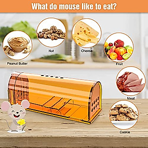 4 Pack Humane Mouse Traps Indoor for Home, Live Mouse Traps No Kill, Reusable Mice Small Rat Trap Catcher for House & Outdoors