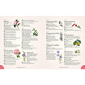 The Complete Language of Flowers: A Definitive and Illustrated History (Volume 3) (Complete Illustrated Encyclopedia, 3)