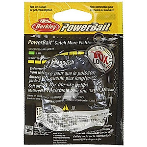 Berkley PowerBait Power Grubs Fishing Bait, White, Irresistible Scent & Flavor, Realistic Action, Bulky Body, Ideal for Bass, Walleye, Trout and More