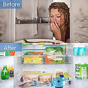 Abnaok Angry Mom Microwave Cleaner and Chilly Mama Fridge Deodoriser 2PCS Easily Clean in Minutes for Home or Office with English Manual