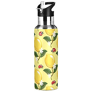 xigua Ladybug Water Bottle Double Walled Stainless Steel Leak Proof Thermo Flask for Sports Gym Cycling Outdoor,20 oz.