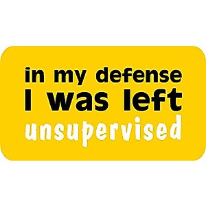 in My Defense I was Left Unsupervised, I Make Decals®, Lunch Box, Tool Box, Phone, Hard Hat, Vinyl, Decal car Sticker