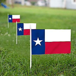 Anley Texas State Mini Flag 12 Pack - Hand Held Small Miniature TX Lone Star Flags on Stick - Fade Resistant & Vivid Colors - 5x8 Inch with Solid Pole & Spear Top